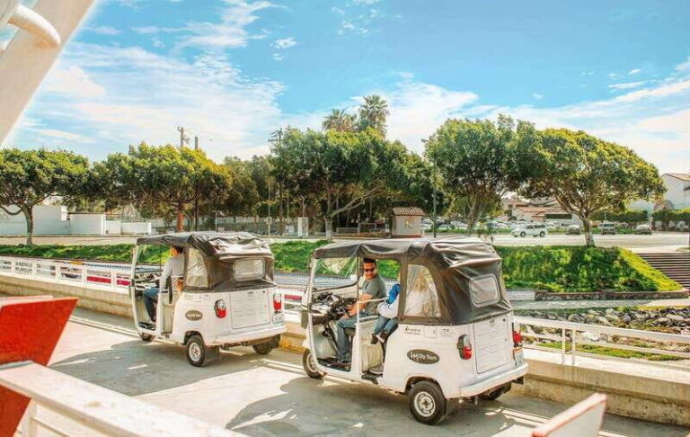 Ensenada: Street Gourmet Tour with Tacos and Drinks - Why This Tour Works Well