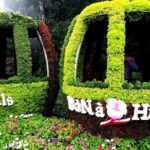 Entry ticket: Ba Na Hills and Golden Bridge Cable Car - The Sum Up: Is It Worth Your Time?