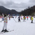 Eobi Ice Valley / Elysian Ski Resort / Nami Island - Inside the Details: What the Tour Includes and What It Doesn’t
