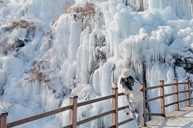 Eobi Ice Valley, Nami Island and Petite France tour in Seoul - The Highlights of the Itinerary