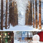 Eobi Ice Valley & Nami & Petite (+ Light Festival, Railbike) - Who Will Love This Tour?