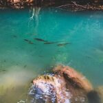 Erawan Waterfall and Elephant Care: Private Tour to Kanchanabur - Why This Tour Offers Great Value