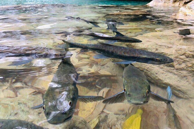 Erawan Waterfall and River Kwai Bridge Day Tour from Bangkok - Who Is This Tour Best For?