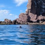 Espíritu Santo Adventure Private Tour - An In-depth Look at the Espíritu Santo Adventure Private Tour