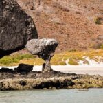 Espíritu Santo and Balandra Beach Combo Tour: Sea Lion Snorkeling - Final Thoughts: Who Is This Tour Best For?