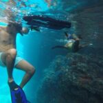 Espiritu Santo Island Snorkel & Sea Lion Adventure - What’s Included and What You Should Prepare