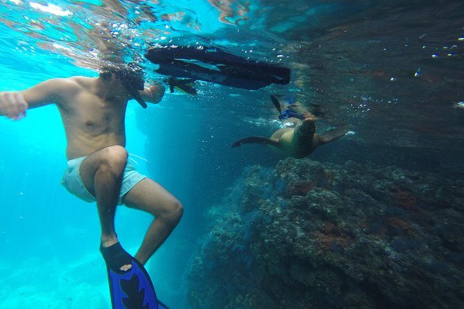 Espiritu Santo Island Snorkel & Sea Lion Adventure - What’s Included and What You Should Prepare