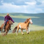 Essence of Mongolia 4 Days - Beyond the Itinerary: What Travelers Can Expect