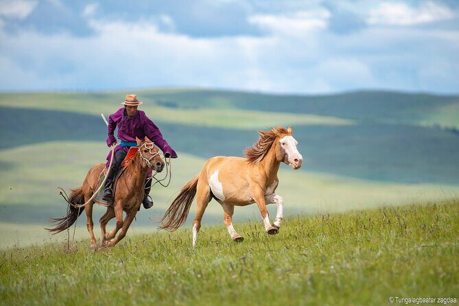 Essence of Mongolia 4 Days - Beyond the Itinerary: What Travelers Can Expect