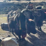 Everest Base Camp Trek - 6N/7D - What to Expect at Each Stop