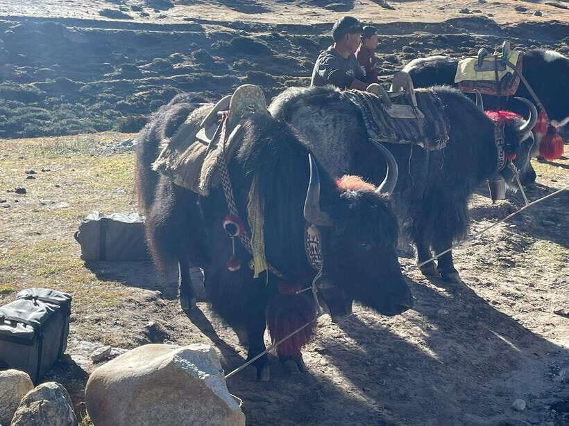 Everest Base Camp Trek - 6N/7D - What to Expect at Each Stop