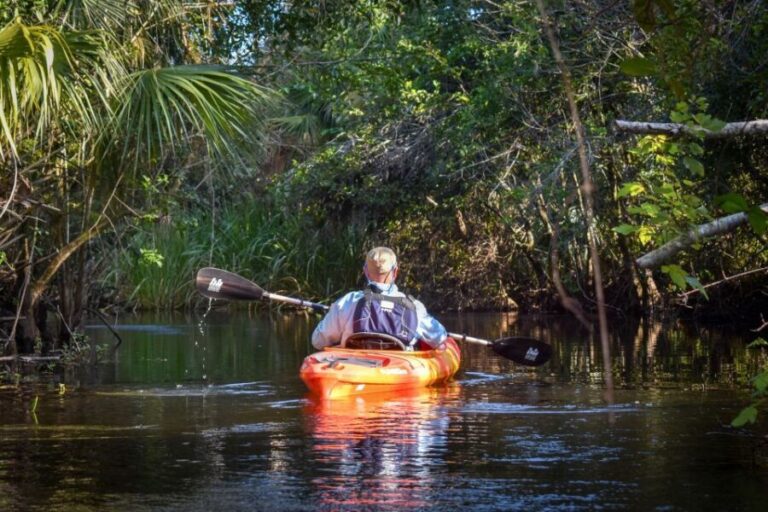 Everglades City: Guided Kayaking Tour and Airboat Ride - The Itinerary: A Closer Look