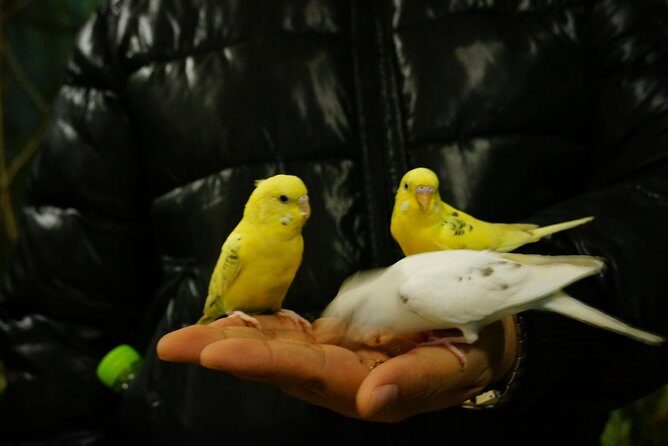 EVERLAND "From Hotel to Hotel" [Premium Private Tour: Only One Group for You] - The Itinerary in Detail