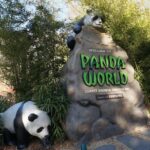 Everland Private Shuttle "Total Private Tour: More Members Less Cost" - What Travelers Say and Why It Matters