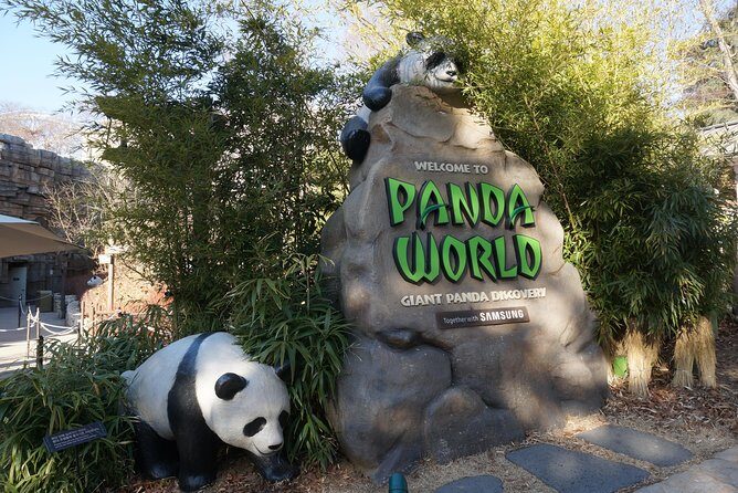 Everland Private Shuttle "Total Private Tour: More Members Less Cost" - What Travelers Say and Why It Matters