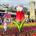 Everland Theme Park Private Transfer (From Seoul) - Is It Worth the Cost?