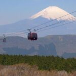 Exciting Hakone - One Day Tour from Tokyo - Transportation and Cost Analysis