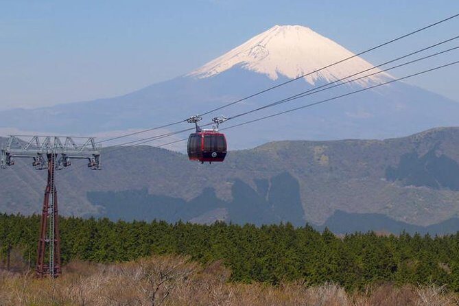 Exciting Hakone - One Day Tour from Tokyo - Transportation and Cost Analysis