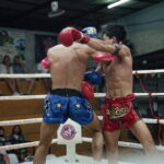 Exciting Muay Thai at Krabi International Boxing Stadium - Why This Tour Is Worth Considering
