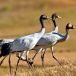 Exclusive Bhutan Tour - Who Is This Tour Best For?