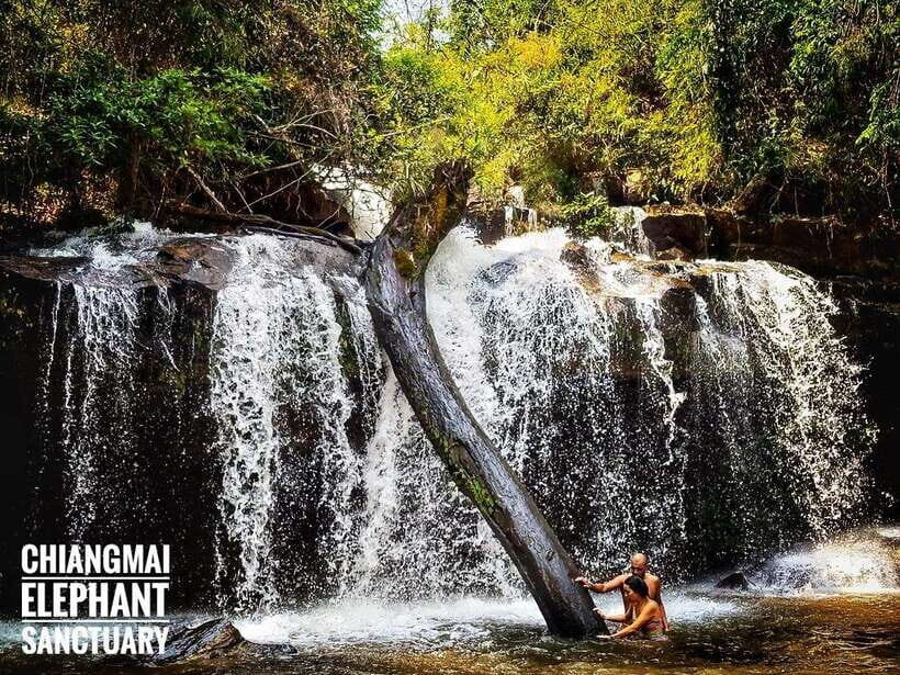 Exclusive experience half day with family giant animals - Analyzing the Value