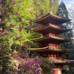 Exclusive Luxury Day Tours Serene Nara - Detailed Breakdown of the Itinerary