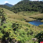 Exclusive Nuawara Eliya: Horton Plains and Tea Factory Tour - What Travelers Say