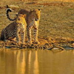 Exclusive Over Night Glamping Experience and Nature Trail - What’s Included and What’s Not