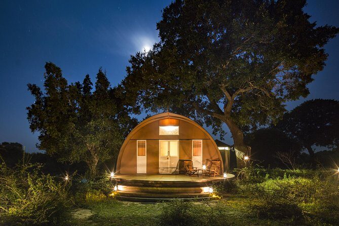 Exclusive : Overnight Leopard Safari with Luxury Glamping - Why This Tour Offers Great Value