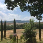 Exclusive Private Tuscany Wine Tour & Food Pairing Session - Who This Tour Is Perfect For