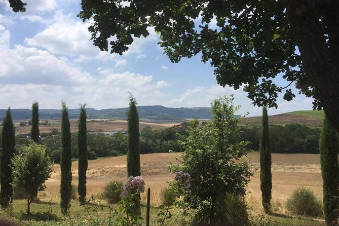 Exclusive Private Tuscany Wine Tour & Food Pairing Session - Who This Tour Is Perfect For
