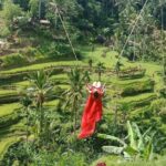 Exclusive Ubud Day Tour - Authentic Experiences and Local Insights