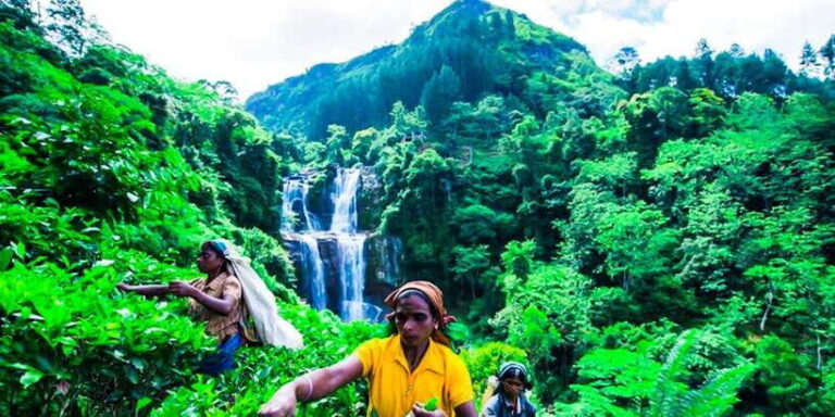 Exclusive : Village Trekking Tour at Ramboda - Waterfalls and Tea Plantations