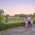 Exclusive Winery Tour with Tasting and Dinner in Chianti vineyard - Authentic Experiences and Review Highlights
