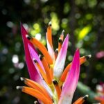 Exotic Garden EN Rancho Ecoturístico - The Journey & Group Dynamics