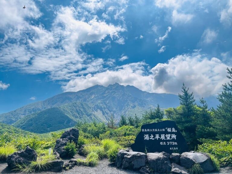 Experience about the blessings of the earth in Sakurajima. - Why this tour offers great value