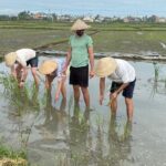Experience Buffalo Ride and Farmer in Hoi An - What the Experience Includes