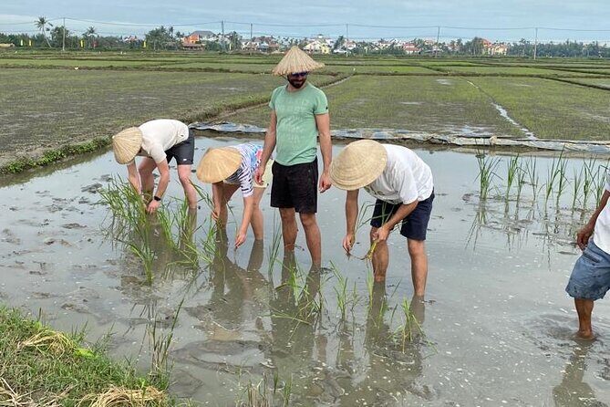 Experience Buffalo Ride and Farmer in Hoi An - What the Experience Includes