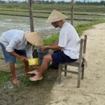 Experience Buffalo riding & farming w Local Farmer - The Itinerary in Detail