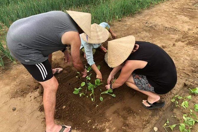 Experience Hoi an Countryside Village Tour by Jeep from Hoi An - A Closer Look at the Itinerary