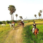 Experience Horse Ride countryside trail rides - Who Should Consider This Tour?
