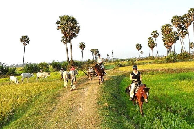 Experience Horse Ride countryside trail rides - Who Should Consider This Tour?