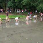 Experience Local Life Tour in Traditional Balinese Village - Summary and Who It Suits