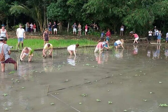 Experience Local Life Tour in Traditional Balinese Village - Summary and Who It Suits