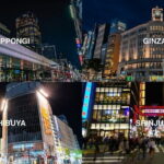 Experience Nightclub Tokyo and Enjoy Premium Japanese Wagyu - Why This Tour Works Well