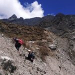 Experience the Best of Langtang and Helambu on a Stunning Trek Adventure - What Makes This Trek Stand Out?