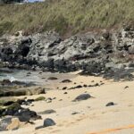 Experience the soul of Maui: Tours led by Maui's own! - What’s Included and What’s Not