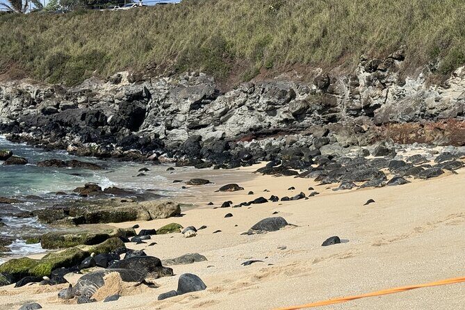 Experience the soul of Maui: Tours led by Maui's own! - What’s Included and What’s Not