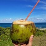 Explore Batam Day Tour With Lunch - Overall Value and Practicalities