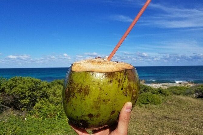 Explore Batam Day Tour With Lunch - Overall Value and Practicalities